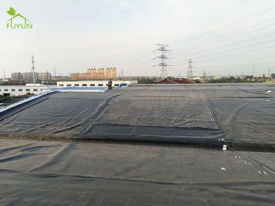Cina Progetto di protezione del pendio del geotessuto dello strato di Geomembrane dell'HDPE del tetto di costruzione in vendita