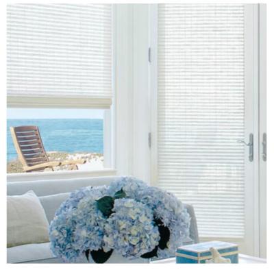 Cina Tende per finestre senza fili a prova di bambino, protezione UV e controllo della luce in vendita