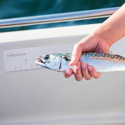 Κίνα Προσαρμοσμένο λογότυπο Fish Ruler Superior Marine Grade EVA για αλιευτικά εργαλεία και αξεσουάρ προς πώληση
