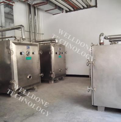 Cina Alta forma efficiente di Tray Dryer Static Drying Square di vuoto dell'estratto della pianta in vendita