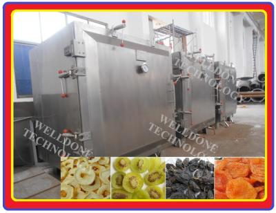 Cina Alta forma efficiente di Tray Dryer Static Drying Square di vuoto dell'estratto della pianta in vendita