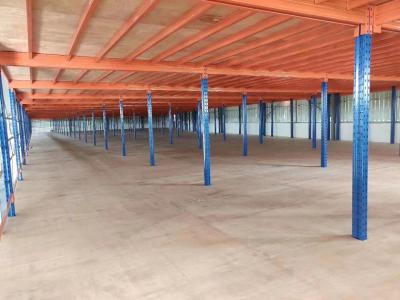 Cina Struttura d'acciaio della piattaforma delle piattaforme 2500KG del mezzanino di stoccaggio dello SGS per la bicicletta in vendita