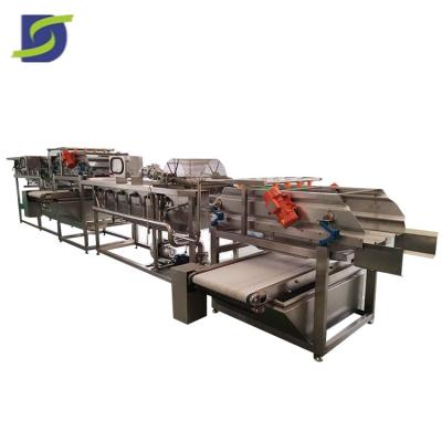 Cina Efficient Industry Fruit Vegetable Processing Machine Washing And Peeling With Conveyor in vendita