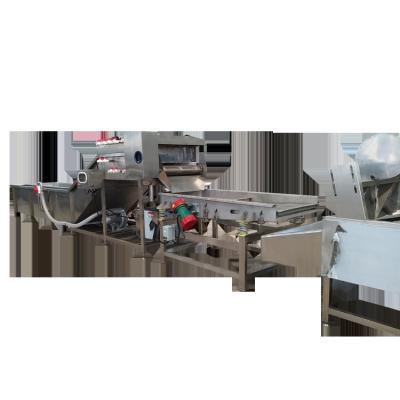 Cina CE Certification Industry Tunnel Fruit Vegetable Remove Washing Machine in vendita