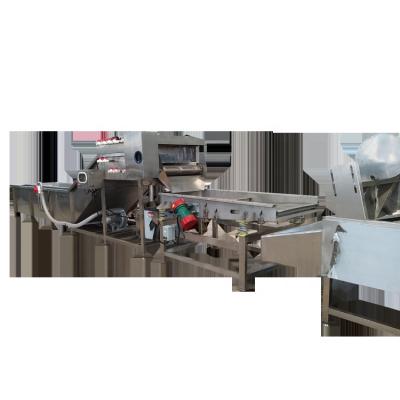 Cina industrial vegetable fruit air bubble cleaning machine for fruit cleaning airing assembly line in vendita