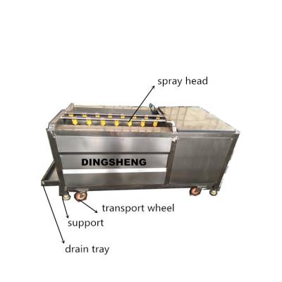 Cina Vegetable Cleaning And Peeling Machine Fruit Roll Cleaning Machine in vendita