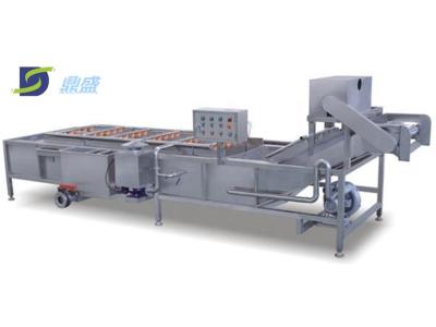 Cina Farm Special Fruit Vegetable Processing Machine Industrial Vegetables Fruits Cleaning in vendita