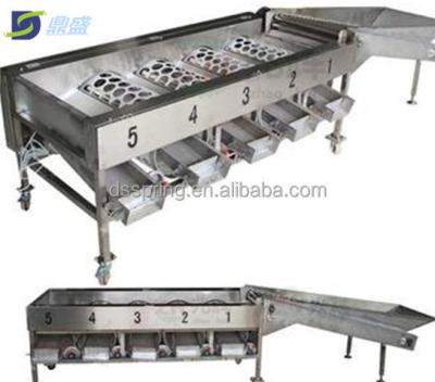 Cina Farm Passion Fruit Apple Orange Vegetable Sorting Machine 4600*1100*900mm in vendita