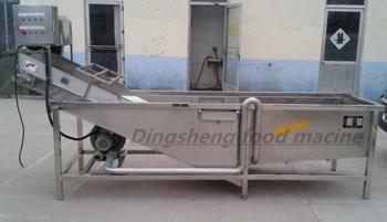 Cina Bubble Type Fruit Vegetable Processing Machine Leafy Vegetable Cleaning Equipment in vendita