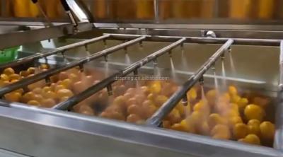 Cina Cucumber Tomato Radish Turnips Cleaning Equipment Automatic Fruit and Vegetable Bubble Washing Machine in vendita