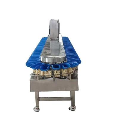 Cina Large Round Fruit Vegetable Processing Machine Cleaning Polishing Grading For Orange Potato Citrus in vendita