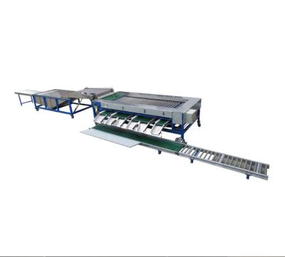 Cina Professional Automatic Fruit Vegetable Lifting Size Sorting Grading Machine in vendita