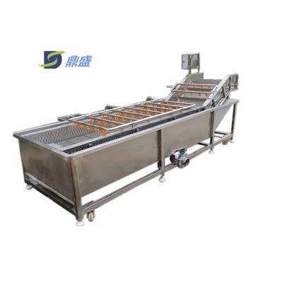 Cina Easy Operation Industrial Fruits And Vegetables Bubble Washing Machine With Ozone Vegetable Washing Machine in vendita