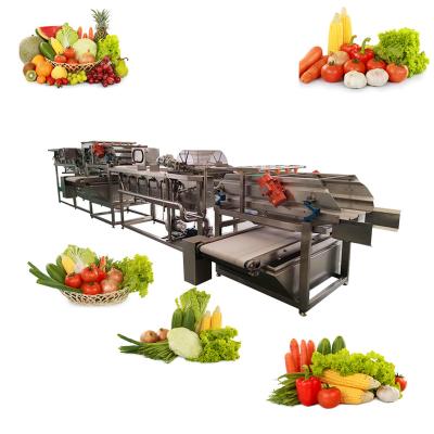 Cina Snack Factory China Manufacturers SS304 Full Automatic Industrial Vegetable Air Bubble Fruit Washing Machine in vendita