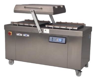 Cina Portable Automatic Rice Vacuum Packing Machine for Vegetable Compression in vendita
