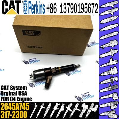 Chine Injecteur de moteur à rail commun pour le CAT 2645A734 2645A731 2645A733 2645A735 2645A743 2645A745 à vendre