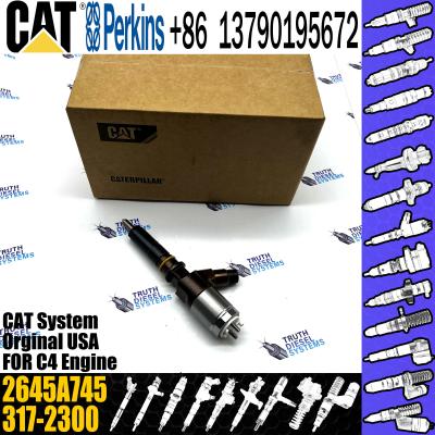 Chine Injecteur de moteur à rail commun pour le CAT 2645A734 2645A731 2645A733 2645A735 2645A743 2645A745 à vendre