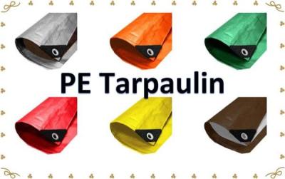 Chine Tarpa Camoflague polyvalente en PE de bâche bleue économique bleu à vendre