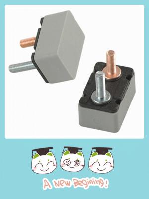 Cina 60 amp automatico un interruttore marino da 12 volt per l'accessorio della barca in vendita