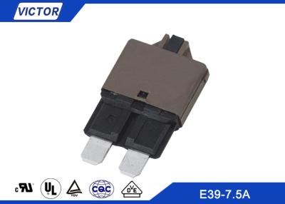Cina E39 chiuso normale - automobile di SAE J553 dell'interruttore 7.5A/interruttore automobilistici del camion in vendita