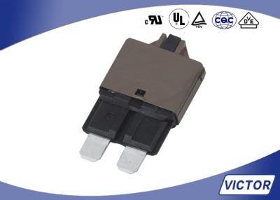 Cina Tipo chiuso normale normale del perno dell'interruttore di interbase del ripristino automatico chiuso in vendita