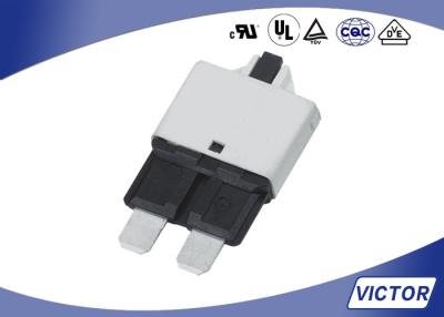 Cina Pompi l'interruttore 25A 28V, il SAE J553/SAE J1171 dell'automobile di risistemazione di Automotic del protettore di sovraccarico in vendita