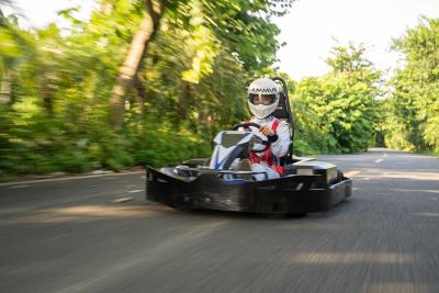 Cina Litio elettrico telecomandato di Mini Go Kart 540w/H a pile in vendita