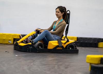 Cina 36V ha alimentato i go-kart 75km/h con la recinzione della prova di collisione in vendita