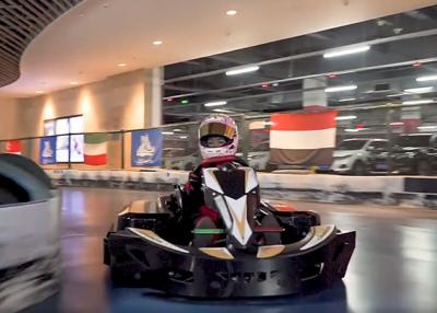 Cina Spazio di terreno elettrico regolabile dei go-kart 3KW 48V 43mm del pedale di Seat in vendita