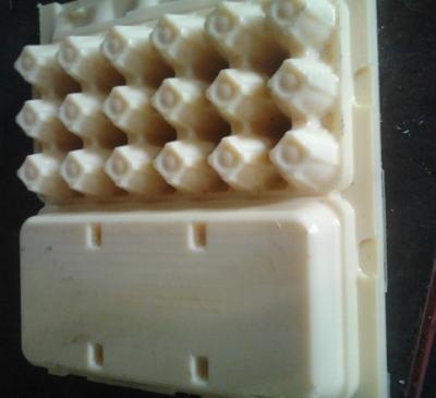 Cina Muffa di plastica del cartone dell'uovo/stampature per trasferimento modellate dei dadi dei vassoi della polpa per il vassoio dell'uovo in vendita
