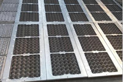 Cina Capacità di Aseismatic della muffa del vassoio dell'uovo della polpa buona con materiale di alluminio in vendita