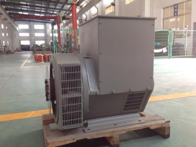 中国 0.8 PMG との自己興奮する三相同期発電機の交流発電機 1000m AVR 販売のため