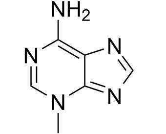 中国 NSC 66389 PI3Kの抑制剤3-Methyladenine Cas 5142-23-4 販売のため