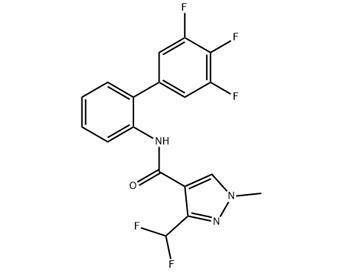 Cina fluxapyroxad cas 907204-31-3 in vendita