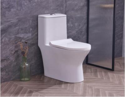 Chine Piège d'une seule pièce des toilettes S de Siphonic des toilettes SWS9218 économiques populaires avec la housse de siège fermée molle de pp à vendre