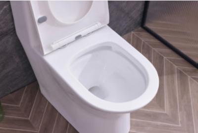 Chine Piège d'une seule pièce des toilettes S de Siphonic des toilettes SWS9218 économiques populaires avec la housse de siège fermée molle de pp à vendre
