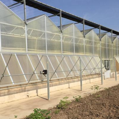Cina Serre commerciale in policarbonato per la coltivazione di ortaggi, frutta e fiori versatili in vendita