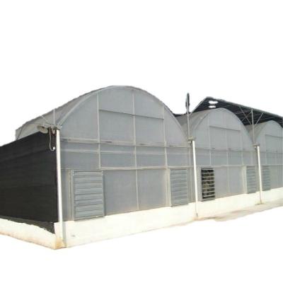 Cina Serra per tubi d'acciaio galvanizzati a caldo a strato personalizzato multi-span film per alta produzione in vendita