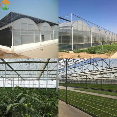 Cina Serra a pellicola a lunghezza multi-span personalizzata per l'agricoltura su larga scala in vendita