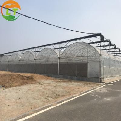 Cina Serra di LiTai Sviluppo agricolo a pellicola multi-span Serra con struttura in acciaio in vendita