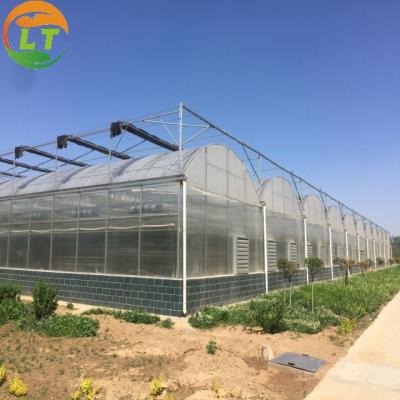 Cina Sistema di controllo automatico per serre agricola a pellicola multi-span Altura del canale 3-6m in vendita