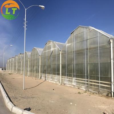 Cina Serra a pellicola multi-span LiTai 10-100m di lunghezza per la raccolta di microgreens idroponiche in vendita