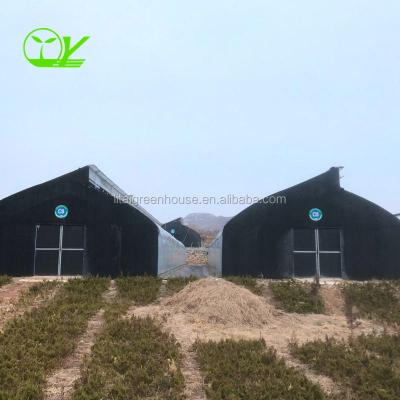 Cina Serre agricole a lunghezza singola per una struttura commerciale stabile, facilmente assemblate in vendita