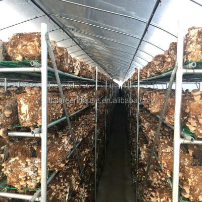 Cina Progettazione della serra per l'allevamento di piccoli pesci e di pollame Lunghezza personalizzabile in vendita