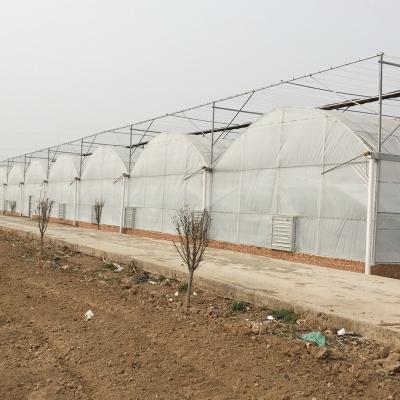 Cina Piantare in ambienti chiusi o in serra è più facile grazie al sistema di coltivazione idroponica in PVC per alimenti in vendita