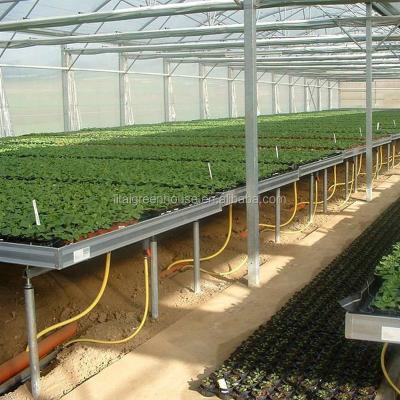 Cina Sezione 4m-5m Serre La soluzione definitiva per la coltivazione commerciale senza suolo in vendita