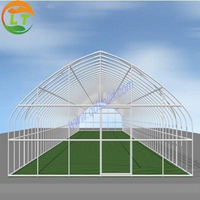 Cina Ventilazione per 150/200micro PE film coperto serra in azienda avicola in vendita