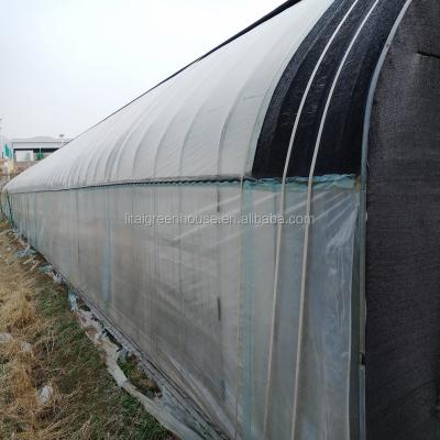 Cina Massimizzare la produzione di funghi con serre agricole personalizzabili in vendita