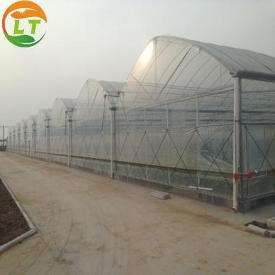 Cina 95% di trasmissibilità Serra di pellicola di plastica agricola con materiale di copertura di pellicola in vendita