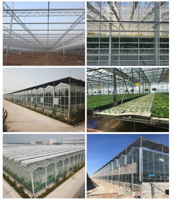 Cina Coltivazioni efficienti Serre solari per l'agricoltura tutto l'anno in vendita